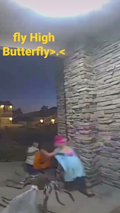 Fly High Butterfly - YouTube