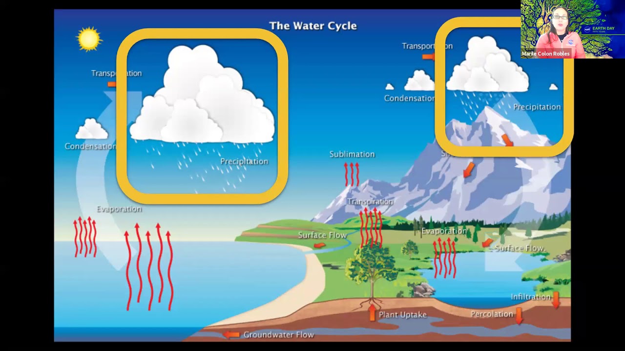 NASA GLOBE Clouds: Cloud Types and the Water Cycle - YouTube