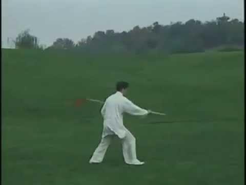 Chen Zhenglei - Chen Tai Chi Spear - YouTube