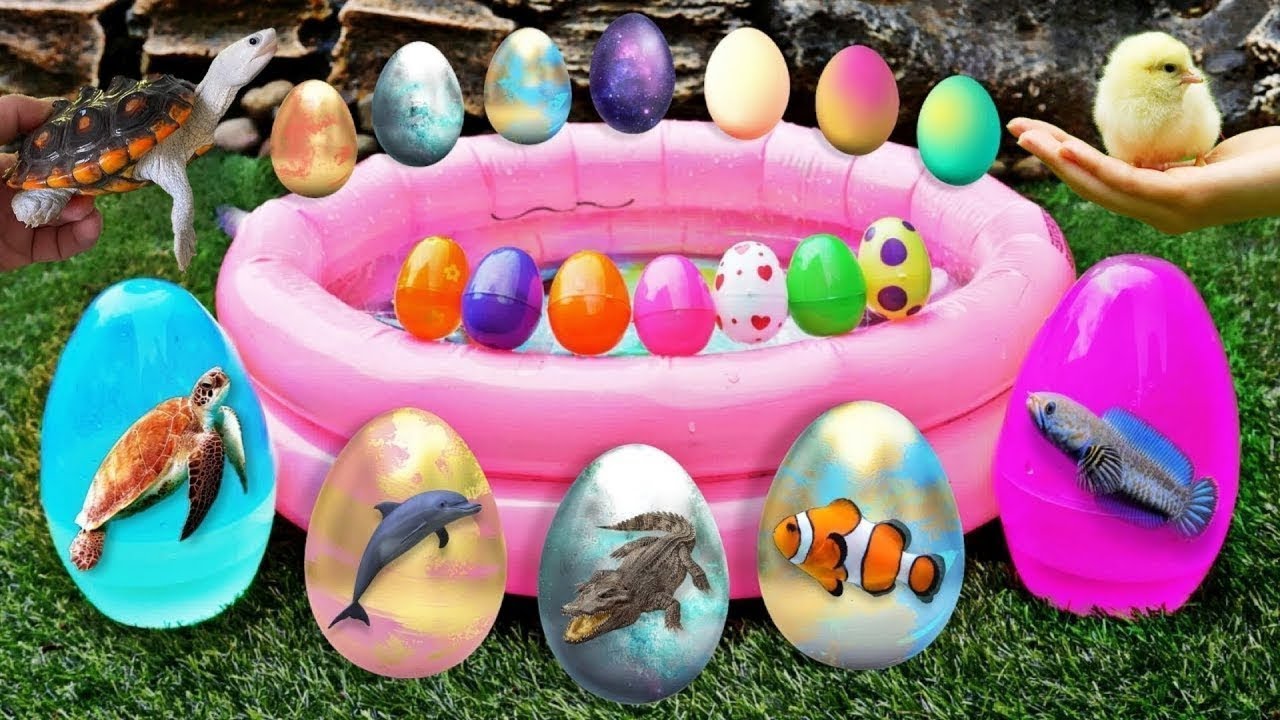 So Amazing Catching Colorful Betta Fish In The River Cute Catfish ...