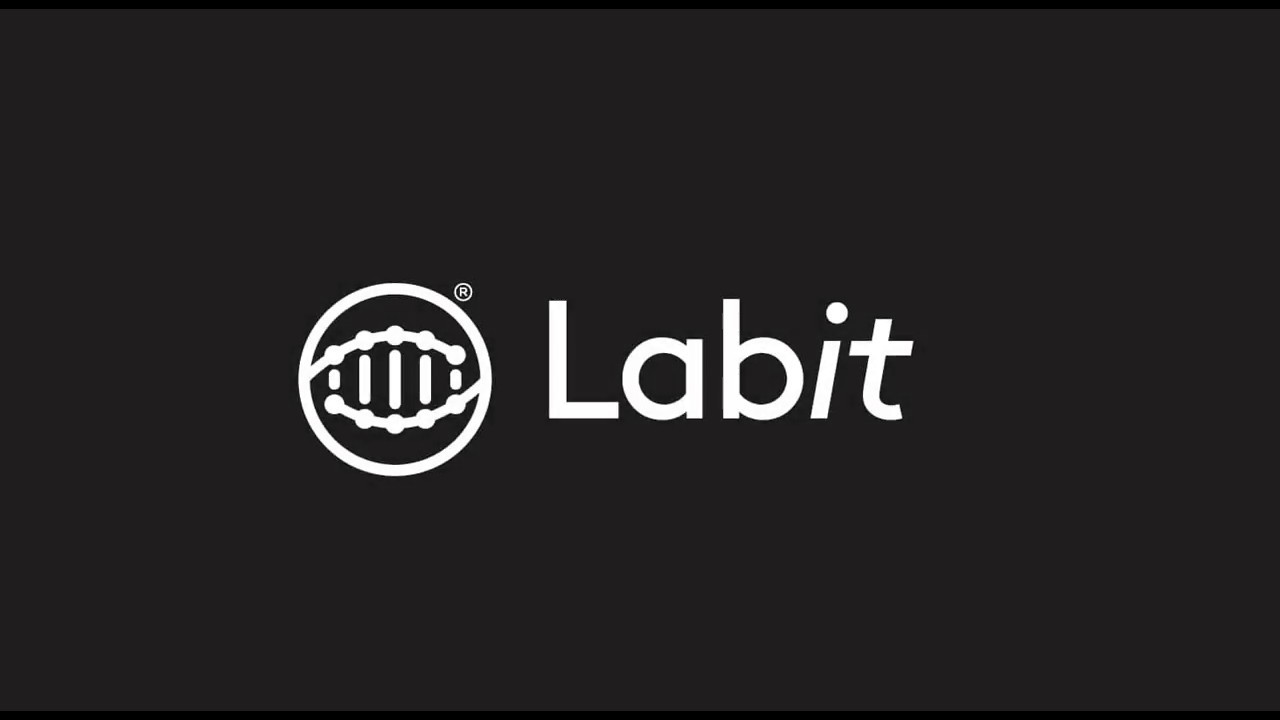 What is Labit? Lab homepage that works! - YouTube