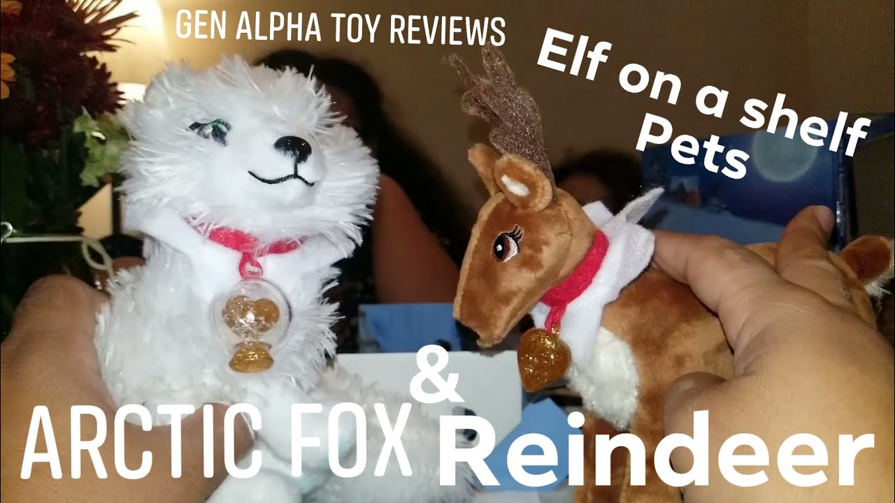 Elf on a Shelf Arctic Fox and Reindeer Unboxing & Impressions: Keeping ...