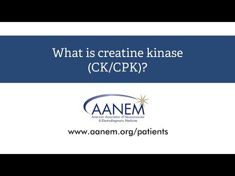 What is creatine kinase?