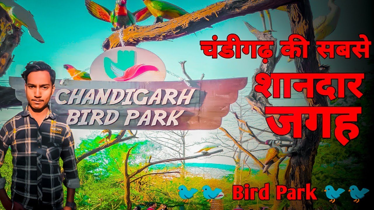 Bird Park Chandigarh | Bird Park Chandigarh Near Sukhna Lake ...