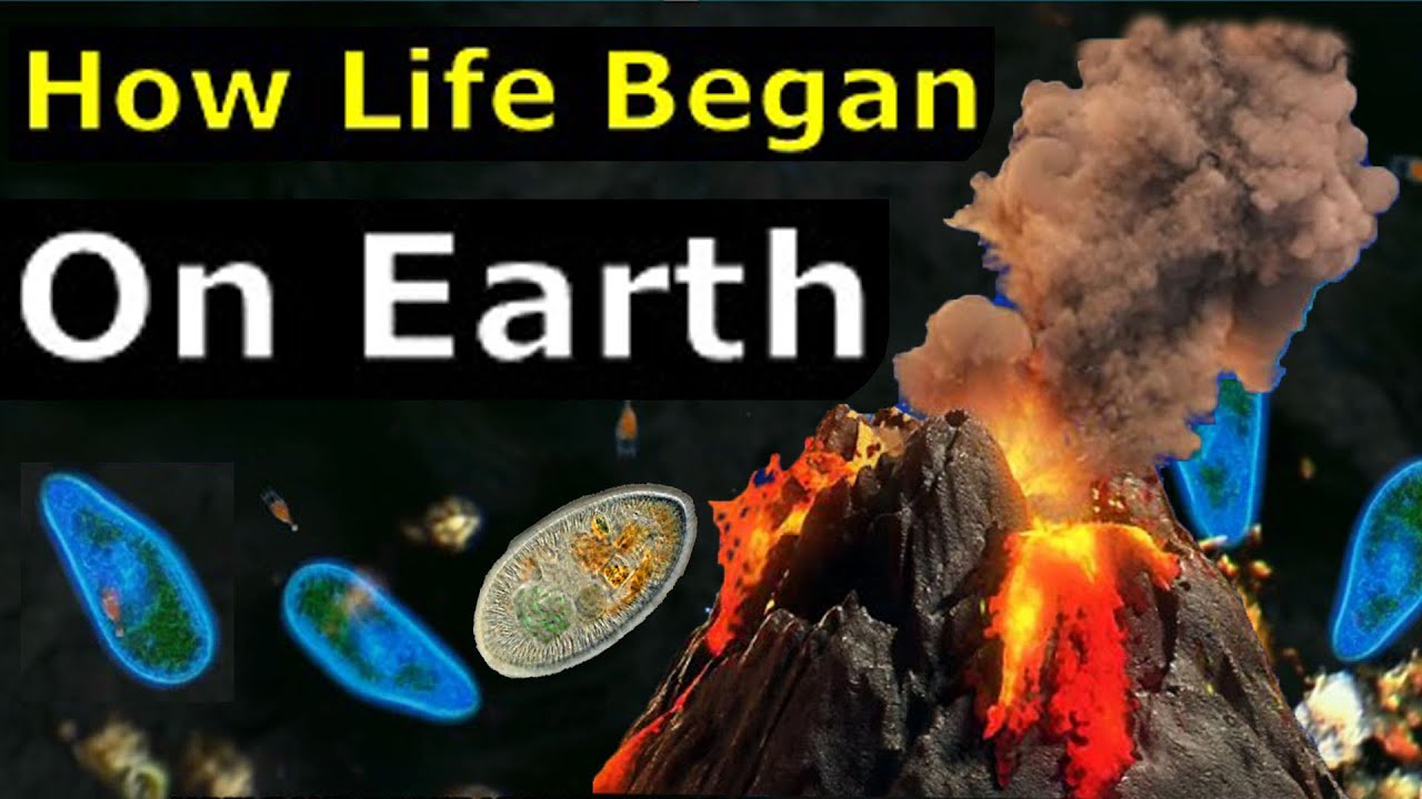"How Life Began on Earth: From Lifeless Matter to Living Beings ...