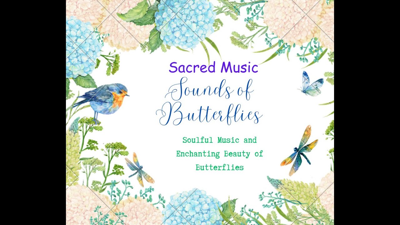 Sounds of Butterflies! Meditative and Relaxing Music and Beauty of the ...