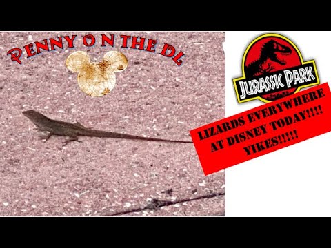 LIZARDS EVERYWHERE AT DISNEY!! JURASSIC DISNEY WORLD! Aaaaaaaaa ...
