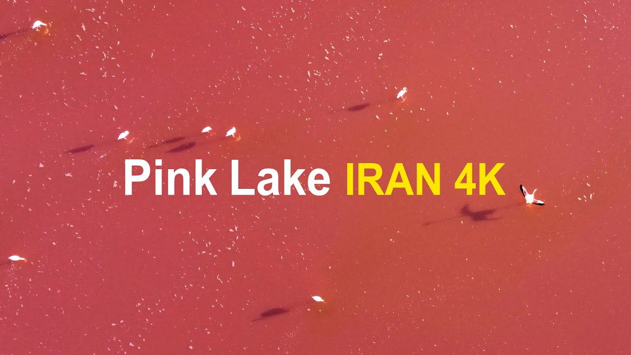 Amazing Pink Lake In Iran 4k | دریاچه صورتی مهارلو شیراز - YouTube