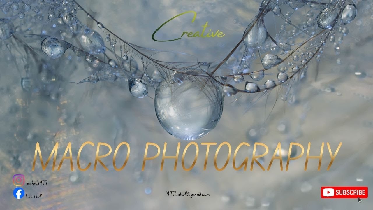 "Macro Water Droplet Photography at Home | OM-1 + 60mm Macro Feather ...