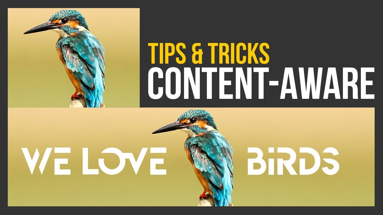 Use Content Aware Scale And Add Text In Photoshop Education YouTube use-content-aware-scale-and-add-text-in-photoshop-education-youtube