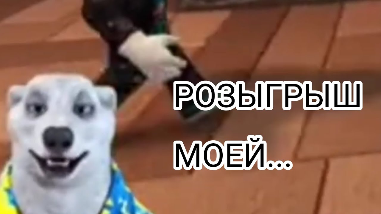 Розыгрыш от ХОДИЛКИ бродилки - YouTube