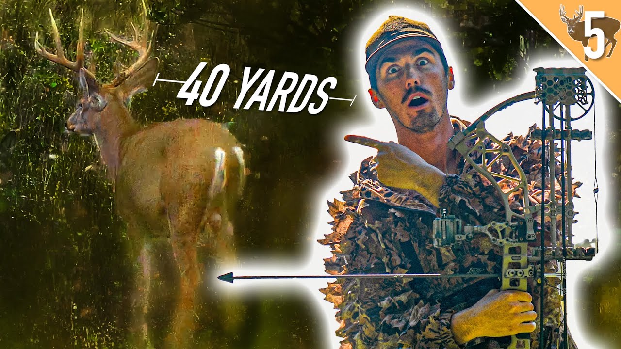 BOW RANGE of BIG Bedded Buck - Hybrid Whitetail/ MULE Deer?!? - YouTube