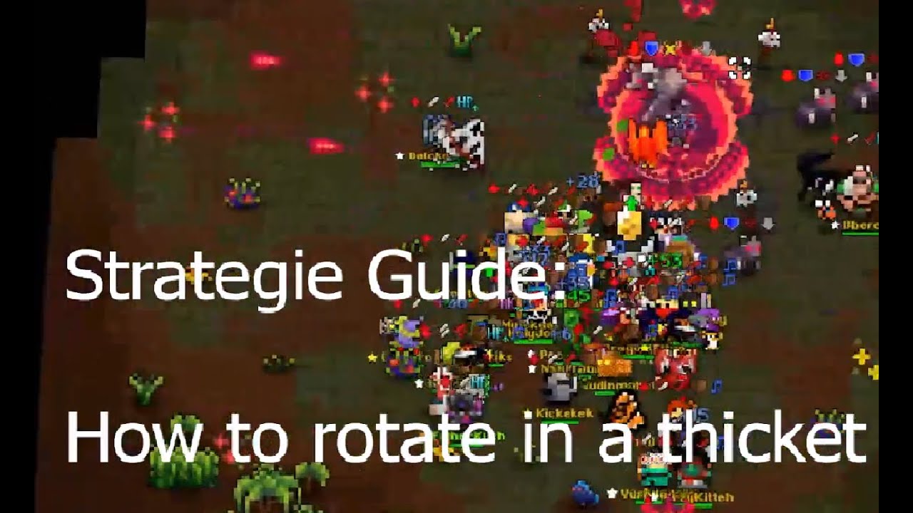 Thicket Rotation Strategy / Strategy Guide Thicket - YouTube