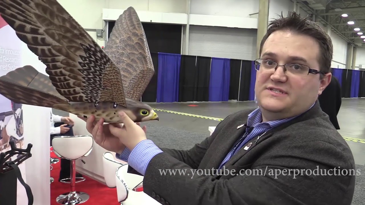 URI MOVIE GARUD IN REAL LIFE | RO-BIRD DRONE | URI MOVIE DRONE - YouTube