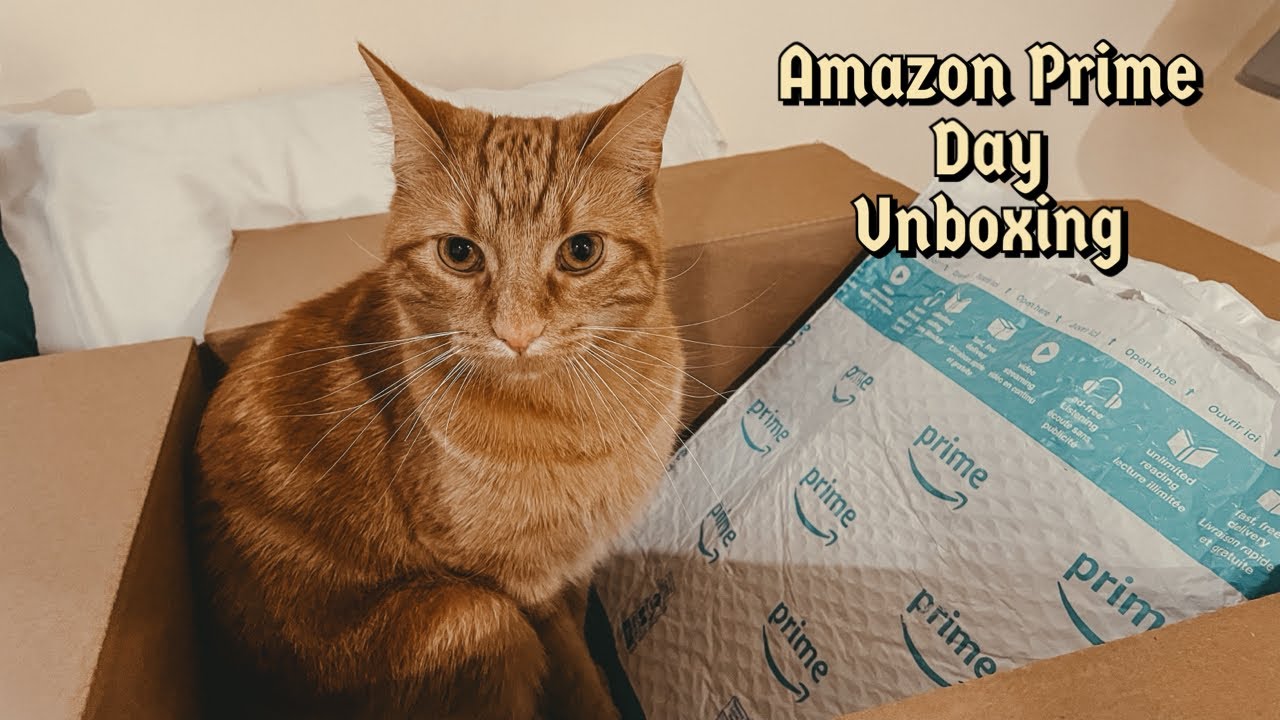 "Unveiling the Epic Amazon Prime Day Sale Deals!" - YouTube