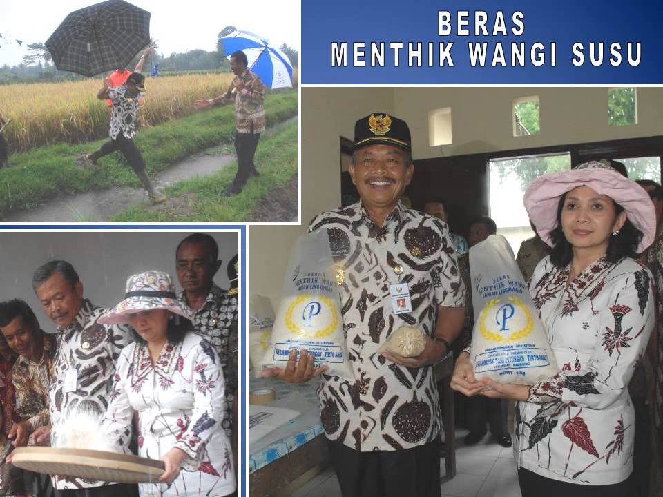 BIBIT WALUYO DAN SUDIJONO LAJUTKAN PEMBANGUNAN PERTANIAN - YouTube