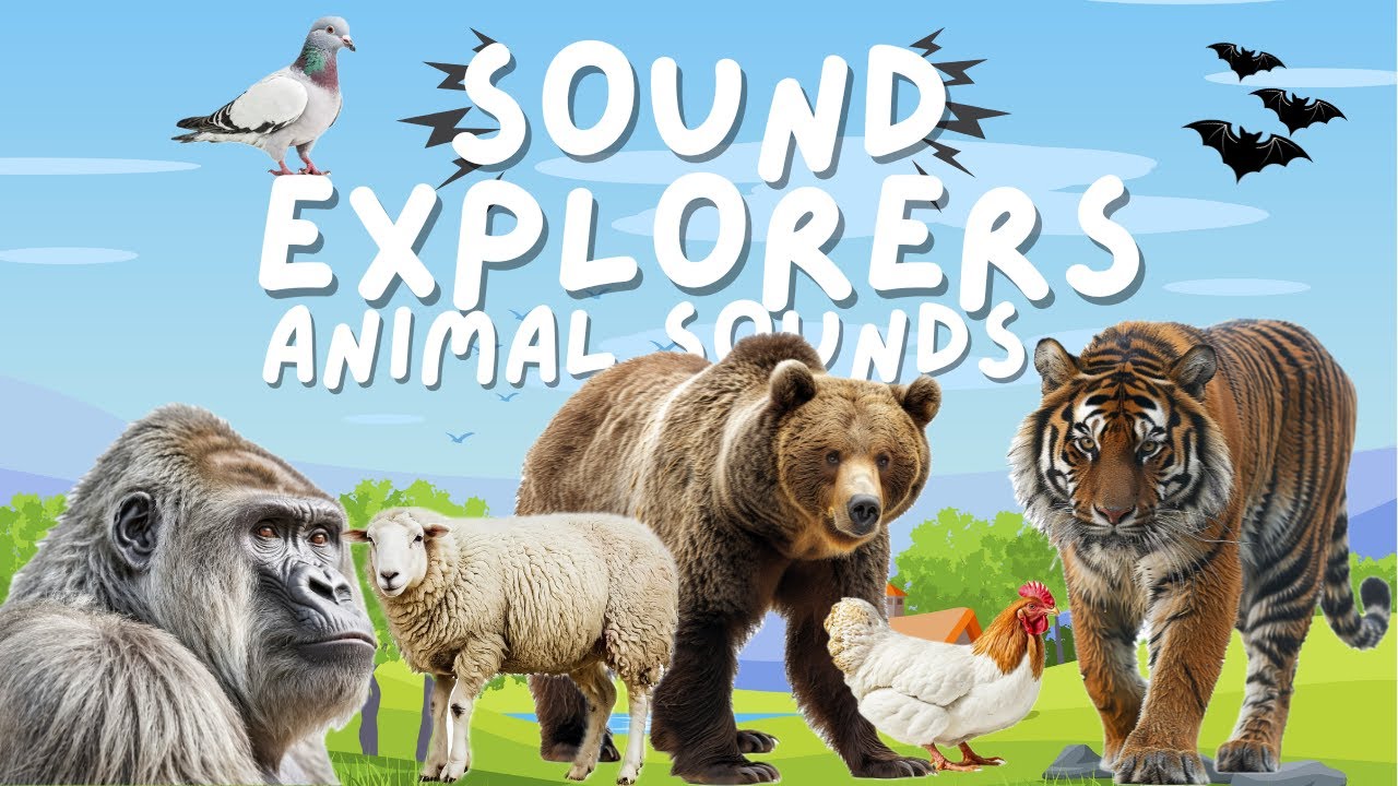 Animal Sounds: Bear, Tiger, Gorilla, Sheep, Pigeon, Chicken and Bat ...
