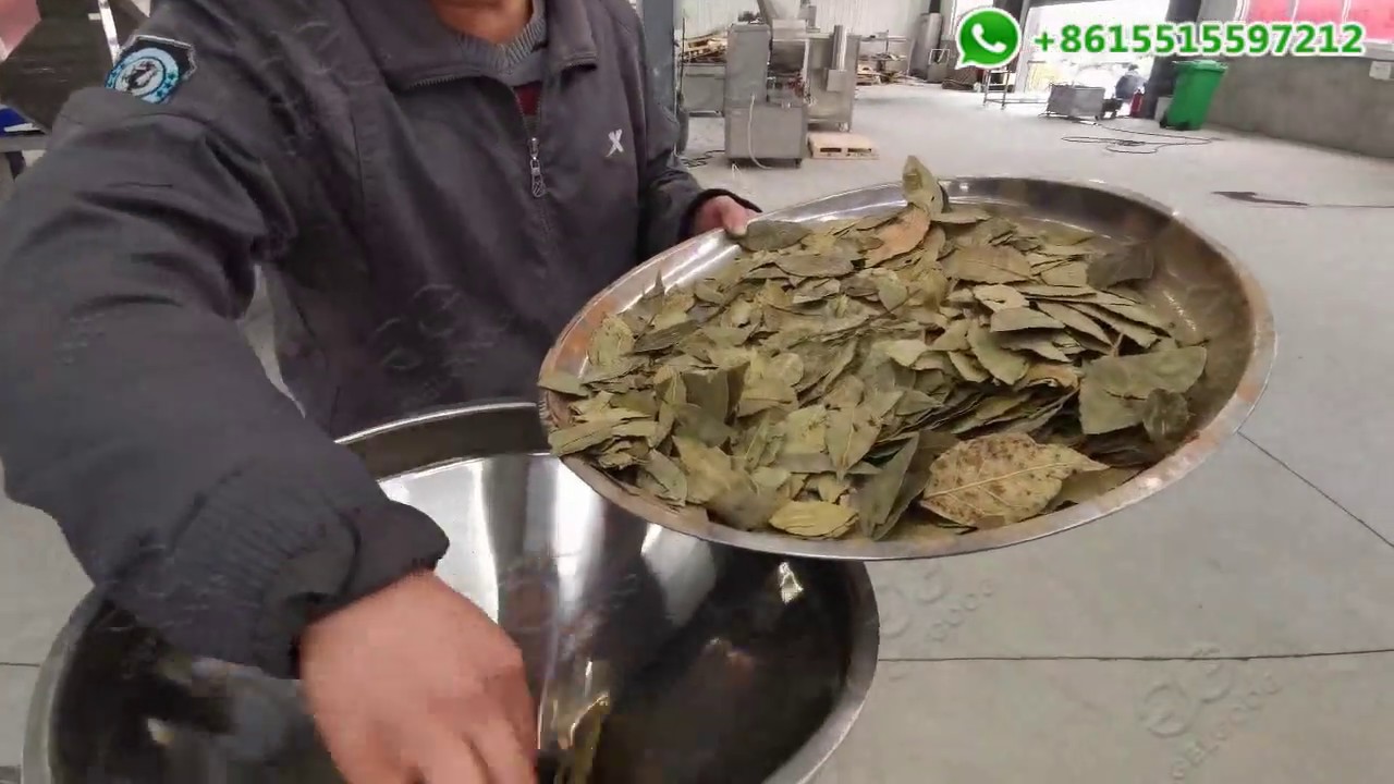 Dry Fragrant Leaves Powder Grinding Machine for Herbs, Curry Leaf - YouTube
