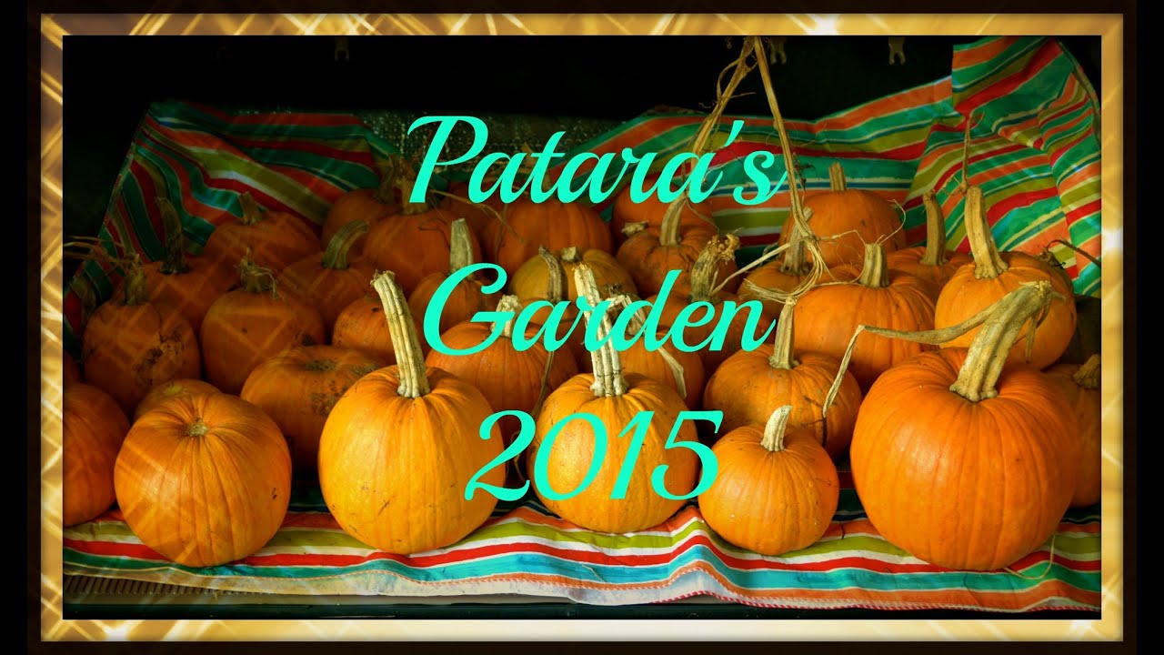 Patara's Garden Tour 2015~ - YouTube