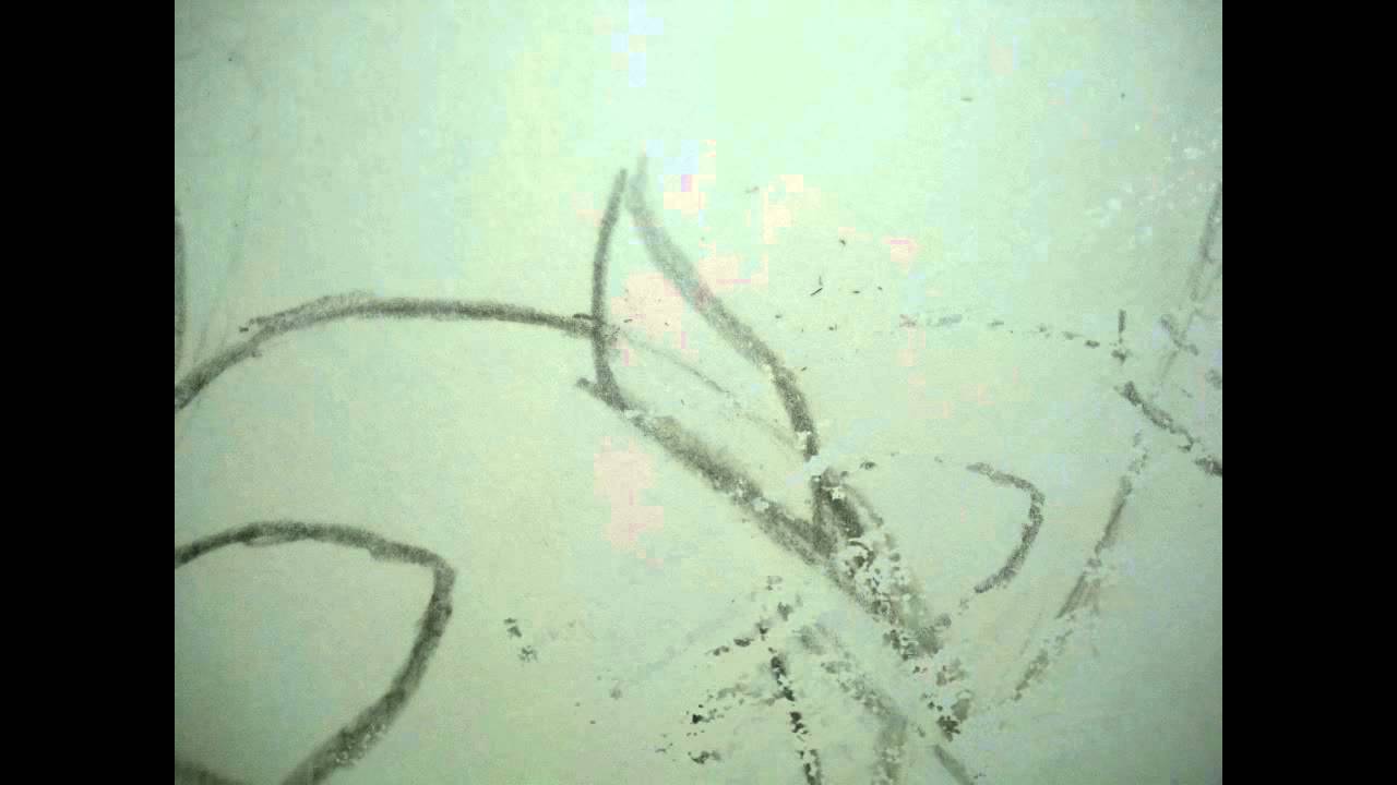 How to draw Mega Absol (Pokemon) - YouTube