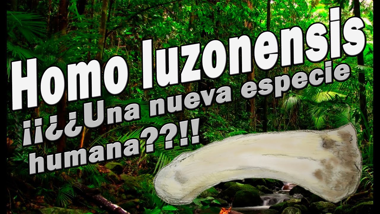 Homo luzonensis: ¿una nueva especie humana? - YouTube
