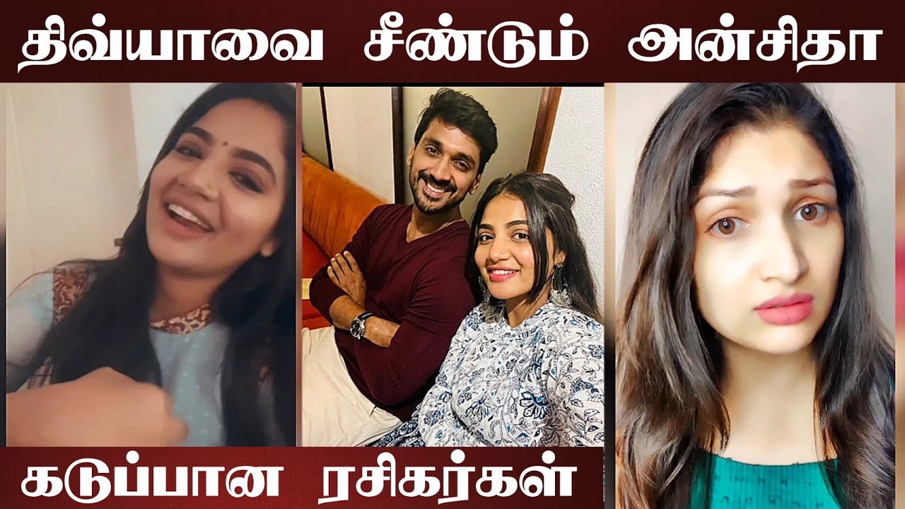 அன்சிதா வெளியிட்ட வீடியோ 😡 கடுப்பில் திவ்யா ரசிகர்கள் | Arnav Anshitha ...