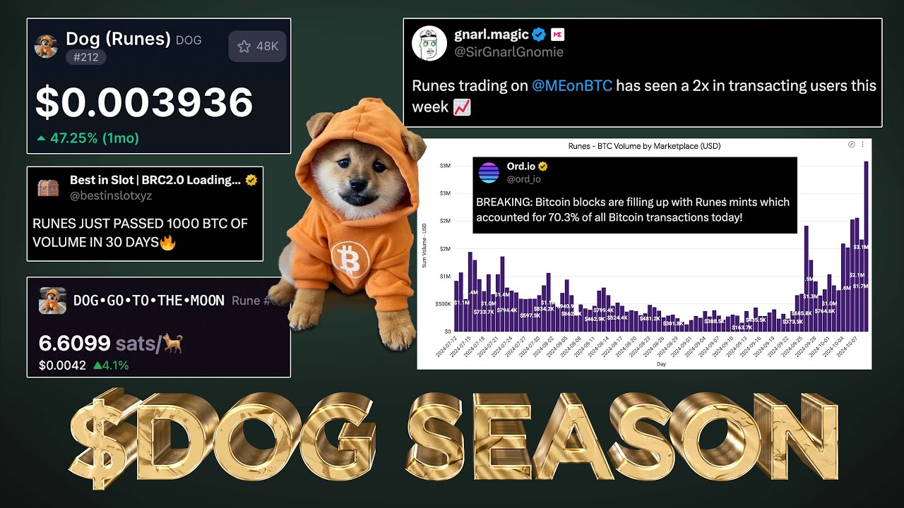 $DOG (Rune) Season Taking off 🚀 (Shocking Data Revealed) - YouTube