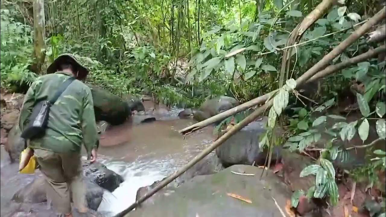 mus xyuas teb nplej thiab ntsuas ntoo yas9/7/23 - YouTube