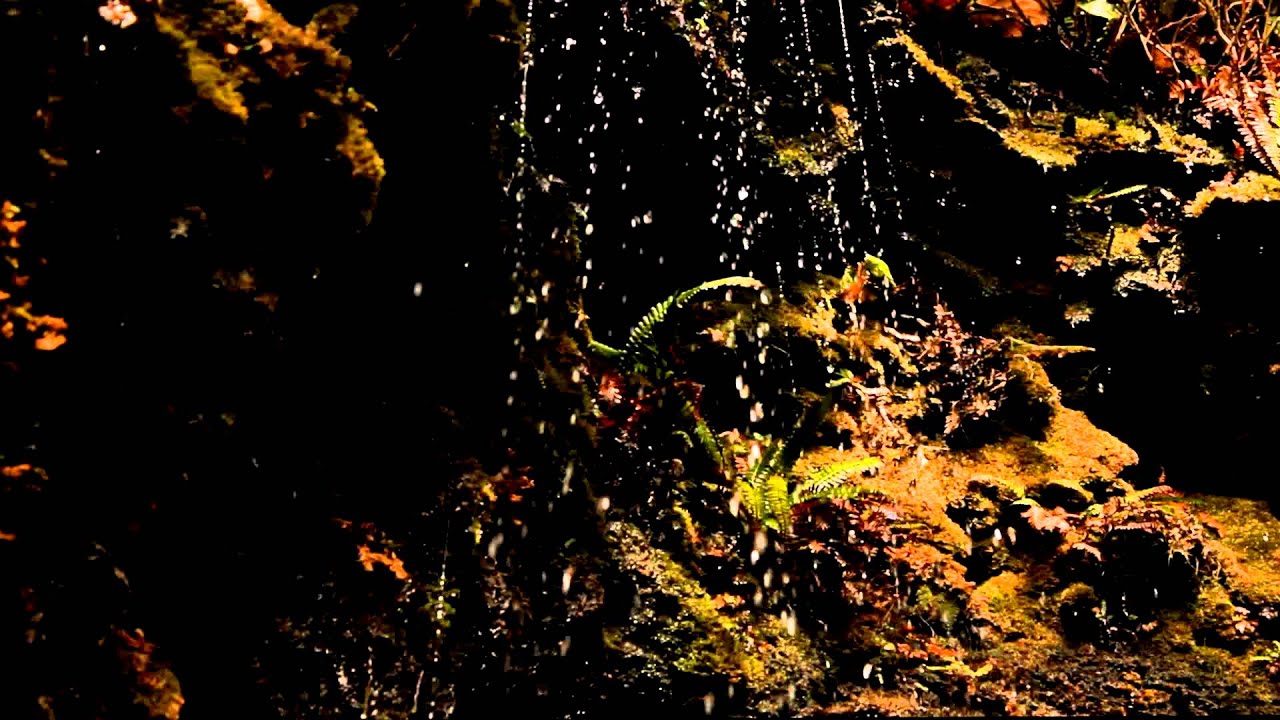 Water Dripping into crevice with high shutter | Free Stock Footage ...