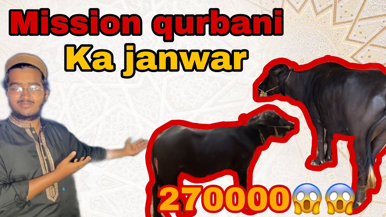 going to Marathi for qurbani ka janwar - YouTube