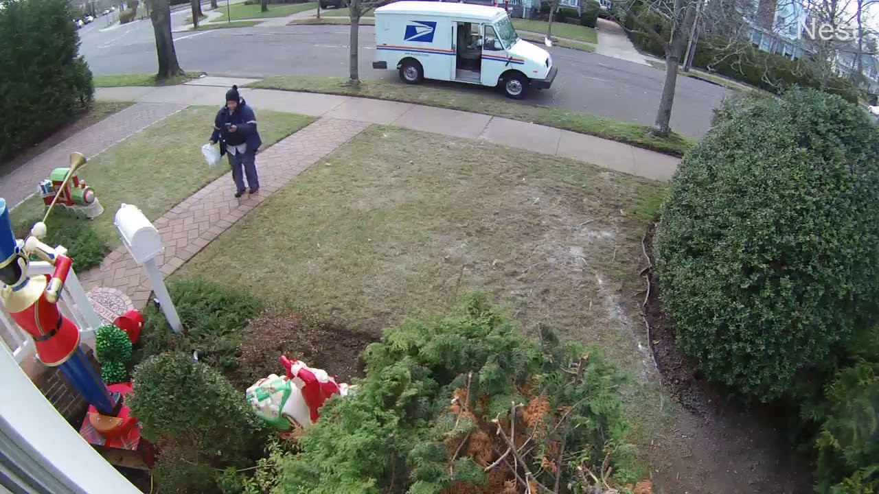 Lazy USPS delivery driver throwing package. Could have put it in ...