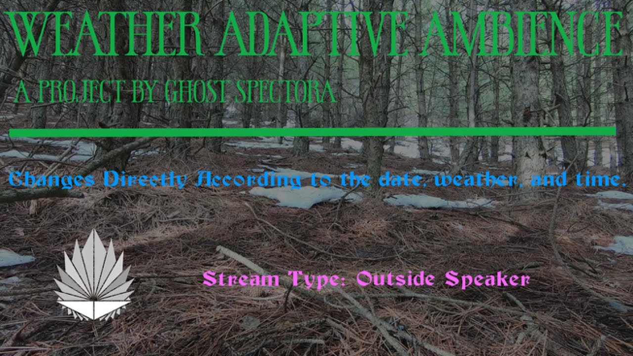 A Calm Forest Walk On A Cool Winter Day | Adaptive Ambience (Outside ...