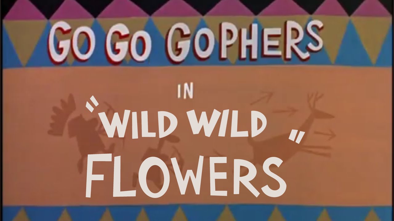 Go Go Gophers - Wild Wild Flowers (Title Reconstruction, Correct Pitch ...