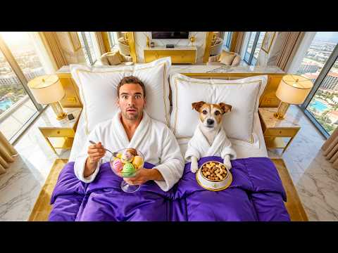 I Tested 5-Star Hotels Made for Dogs