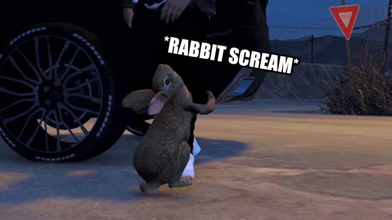 Rabbit Fighter - GTA 5 RP (Reupload) - YouTube
