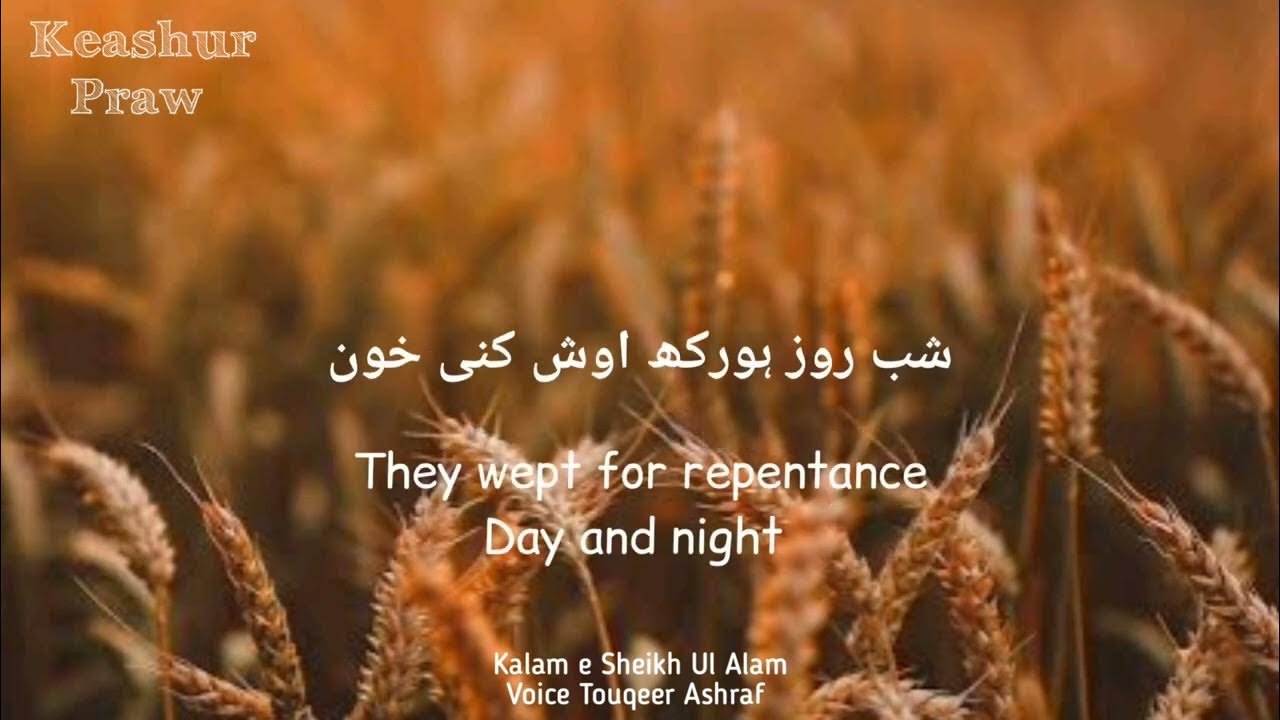 Kalam e Sheikh Ul Alam with translation|Kashmiri Poetry Status |Touqeer Ashraf - YouTube