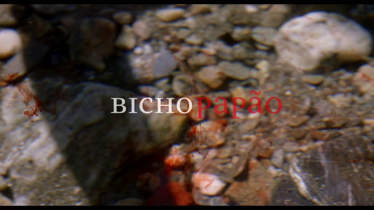 BICHO PAPÃO (Teaser - English) - YouTube
