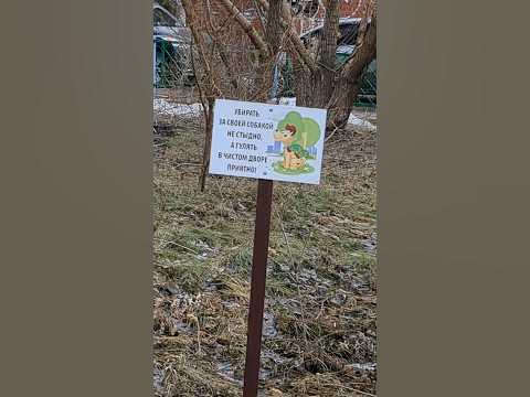 Убирайте За Своими Собаками! - YouTube