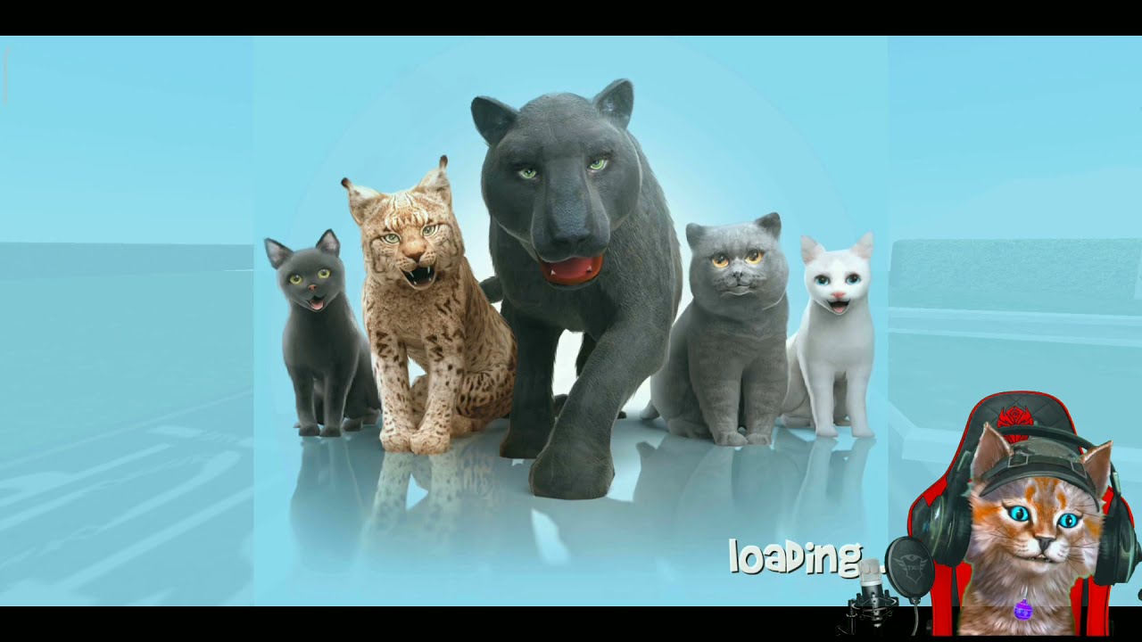 kucing lucu | kucing anggora | cat simulator game play android HD - YouTube