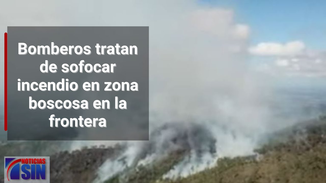Bomberos tratan de sofocar incendio en zona boscosa en la frontera ...