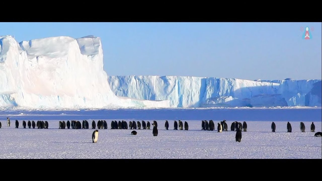 ANTARCTICA, AWAKEN (Spanish/English) - YouTube