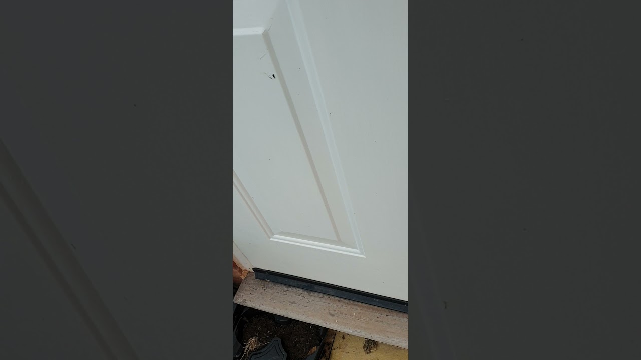 Redrow New Build - Internal garage door and personnel door - 400+ Snags ...