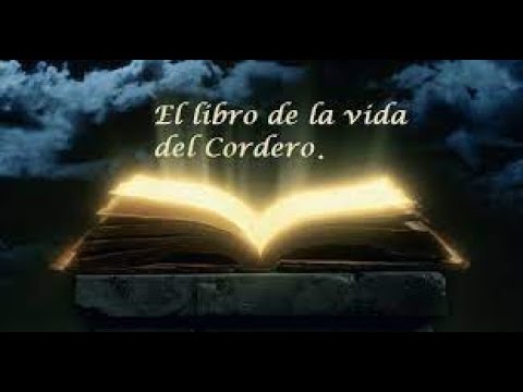 Reflexiones: 9° "Consideraciones finales sobre el Libro de la vida del ...