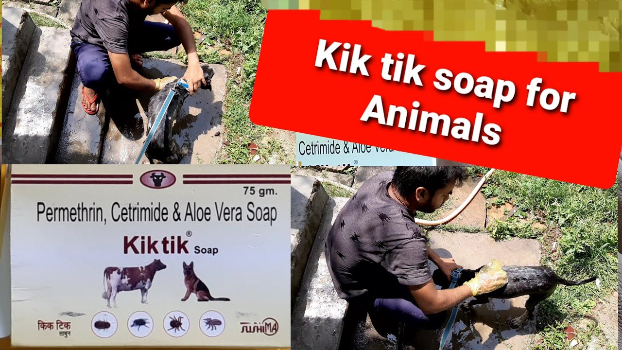 Kik tik soap | Permethrin Animals soap| kilni ko khatm kre - YouTube
