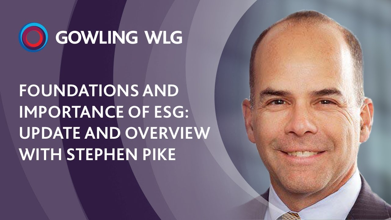 Foundations and importance of ESG: An update with Stephen Pike - YouTube