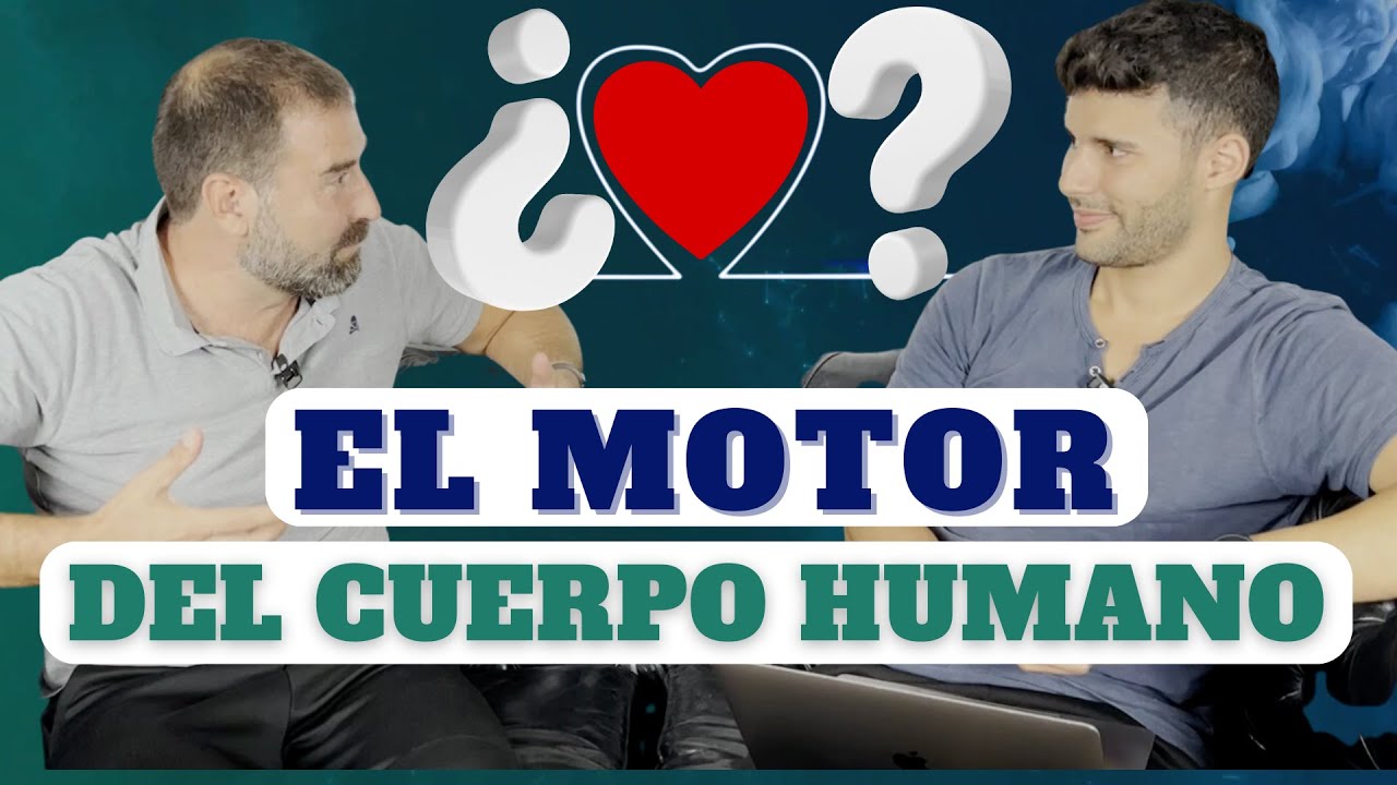 el CORAZÓN NO es el MOTOR del CUERPO humano. Una analogía del cuerpo ...