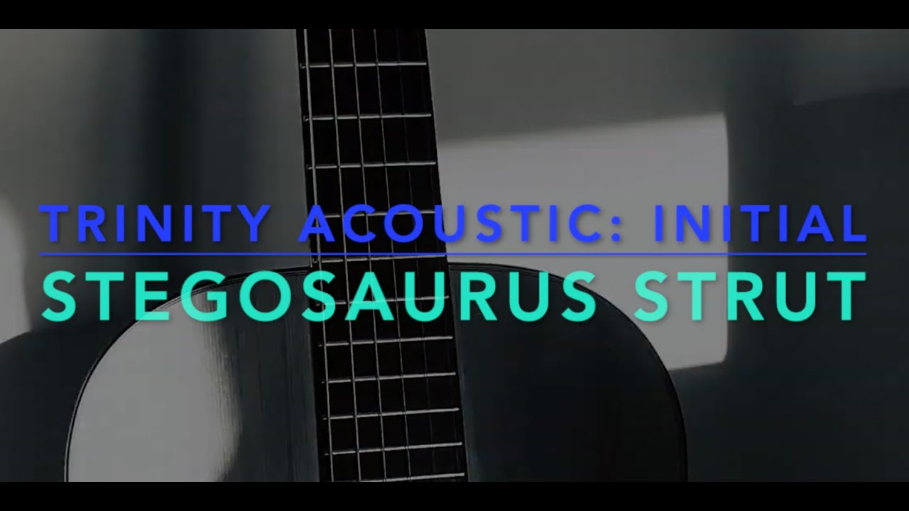 Stegosaurus Strut: Trinity Acoustic Guitar INITIAL Grade 1 DEMO - YouTube