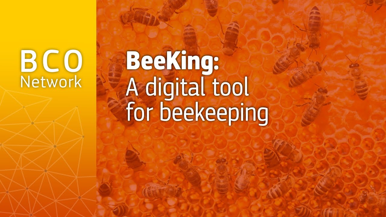BeeKing: A digital tool for beekeeping - YouTube