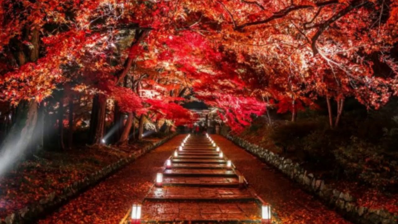 Maple Forest Night 枫林夜行 [dizi flute composition] - YouTube