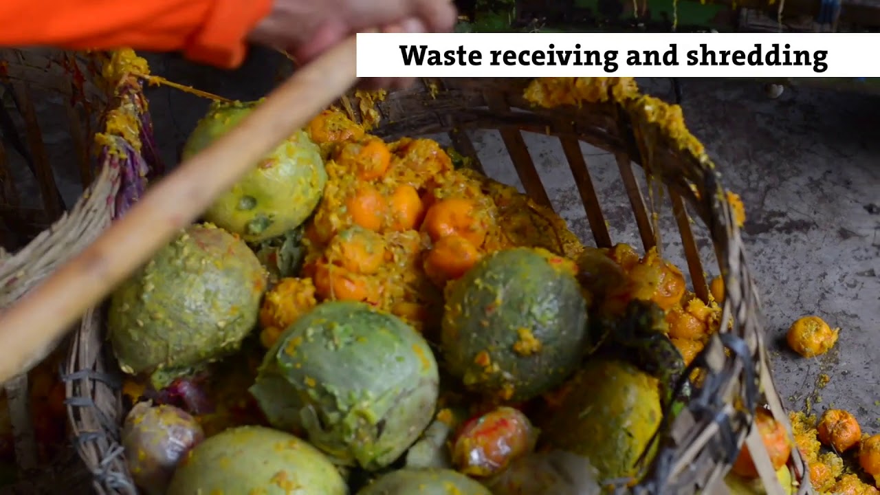 3.18 Operating a black Soldier Fly waste treatment facility - YouTube